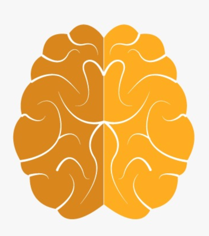 Walnut Software – Medium