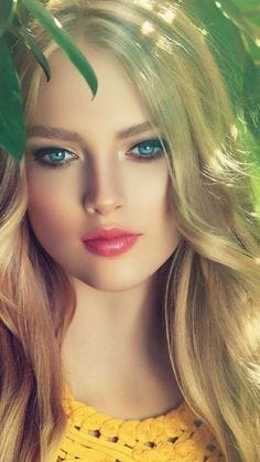 Beauty Dream Online Shopping – Medium