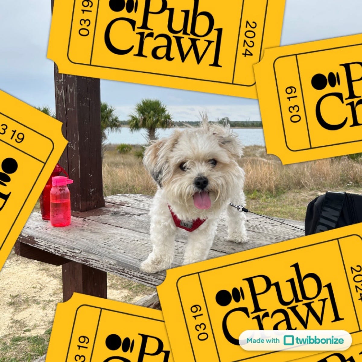 Katelin Brede – Medium