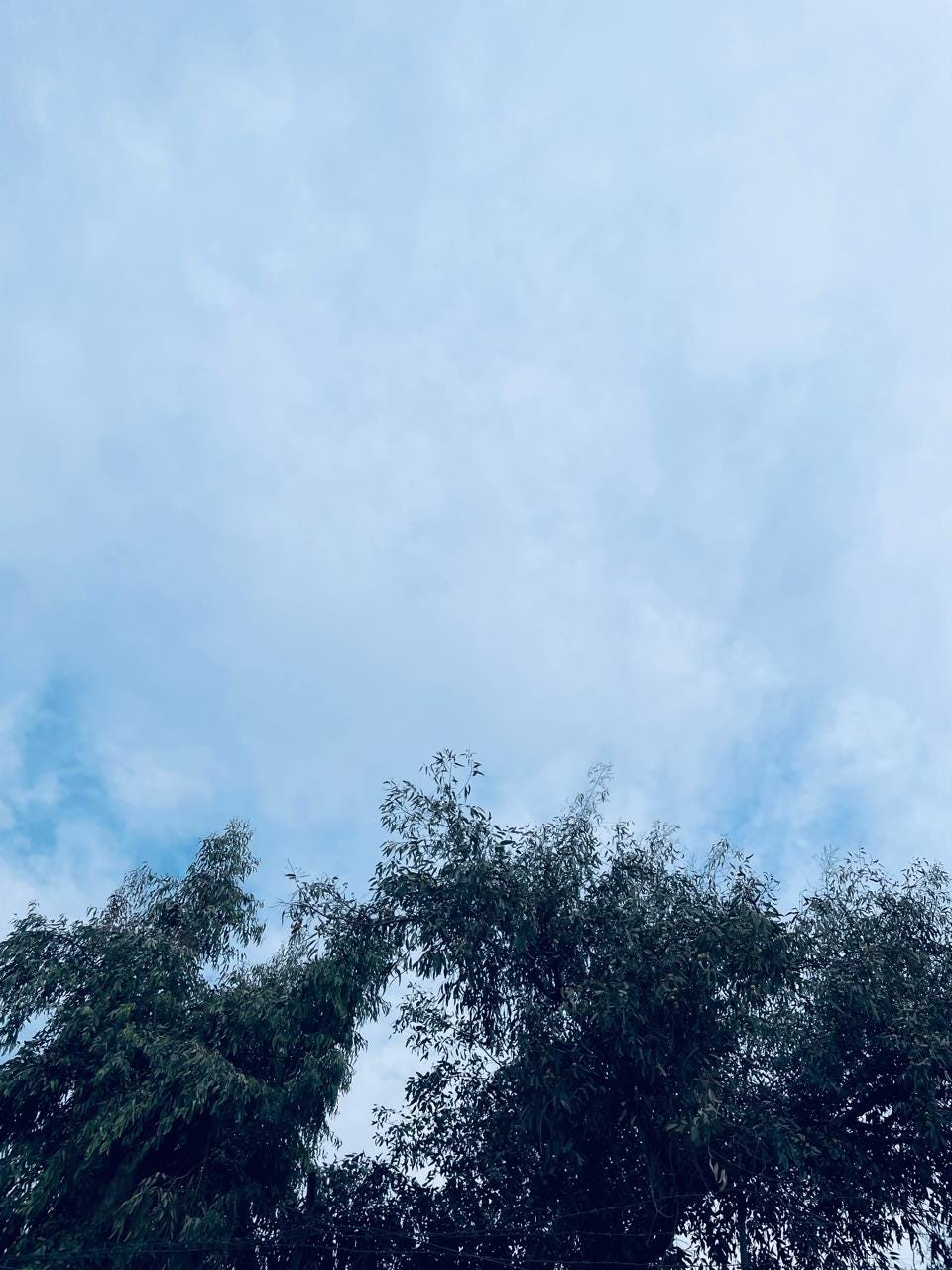 Zara Tariq Siddiqui – Medium