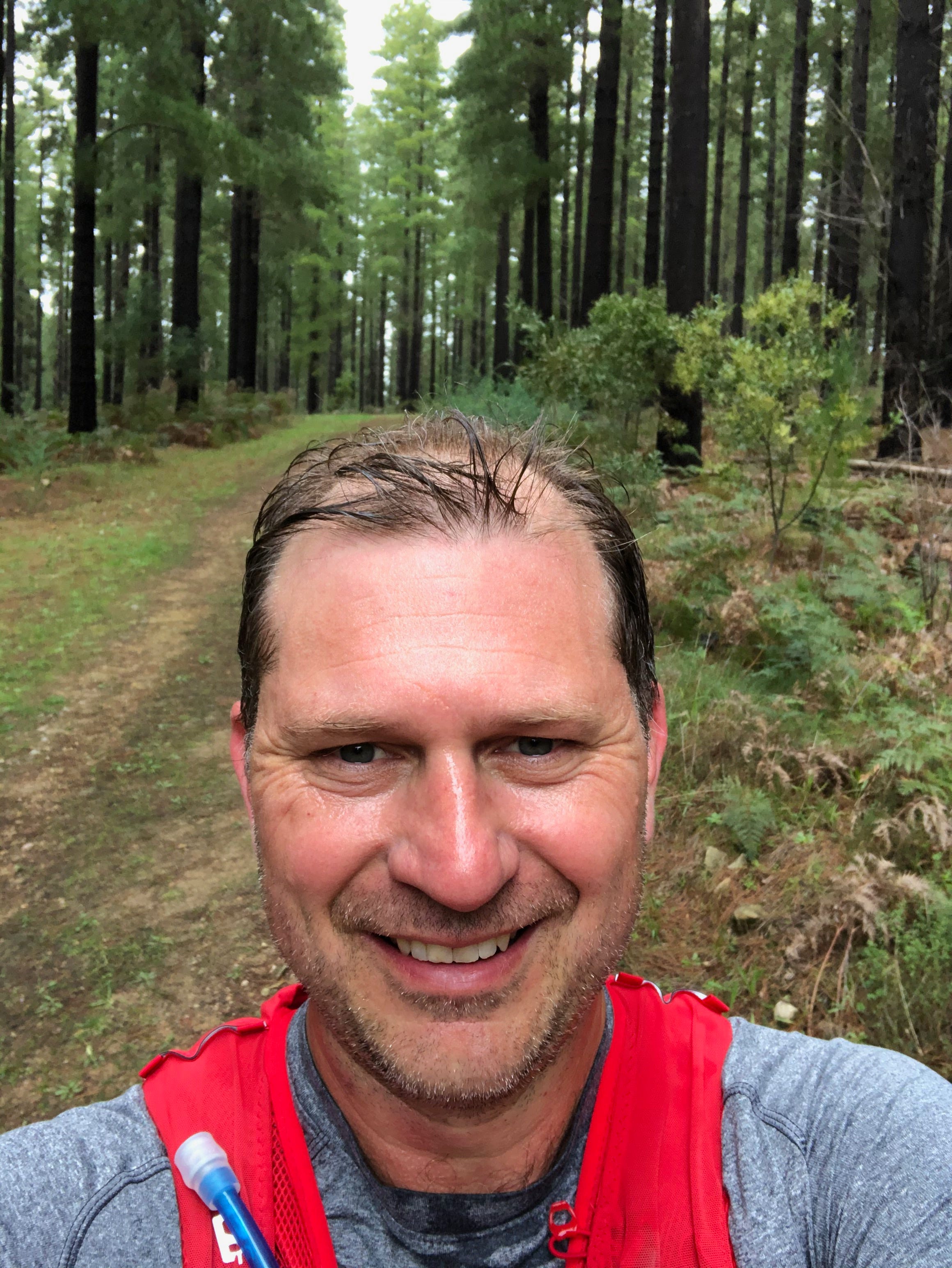 Peter Behrendt – Medium