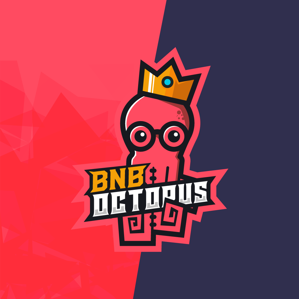 About – BNB OCTOPUS – Medium