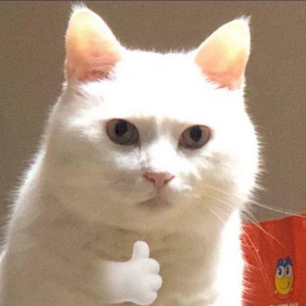 Satoshi Katanuki – Medium