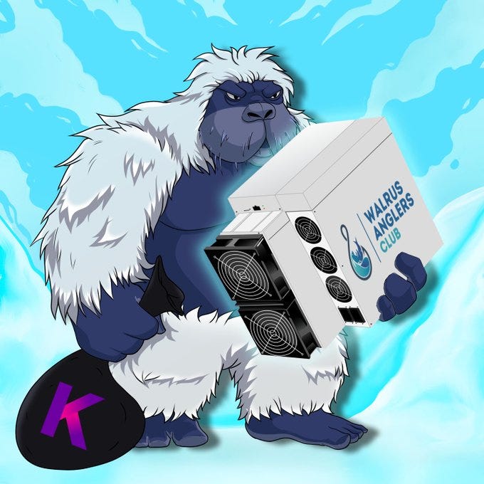 Walrus Anglers Club – Medium