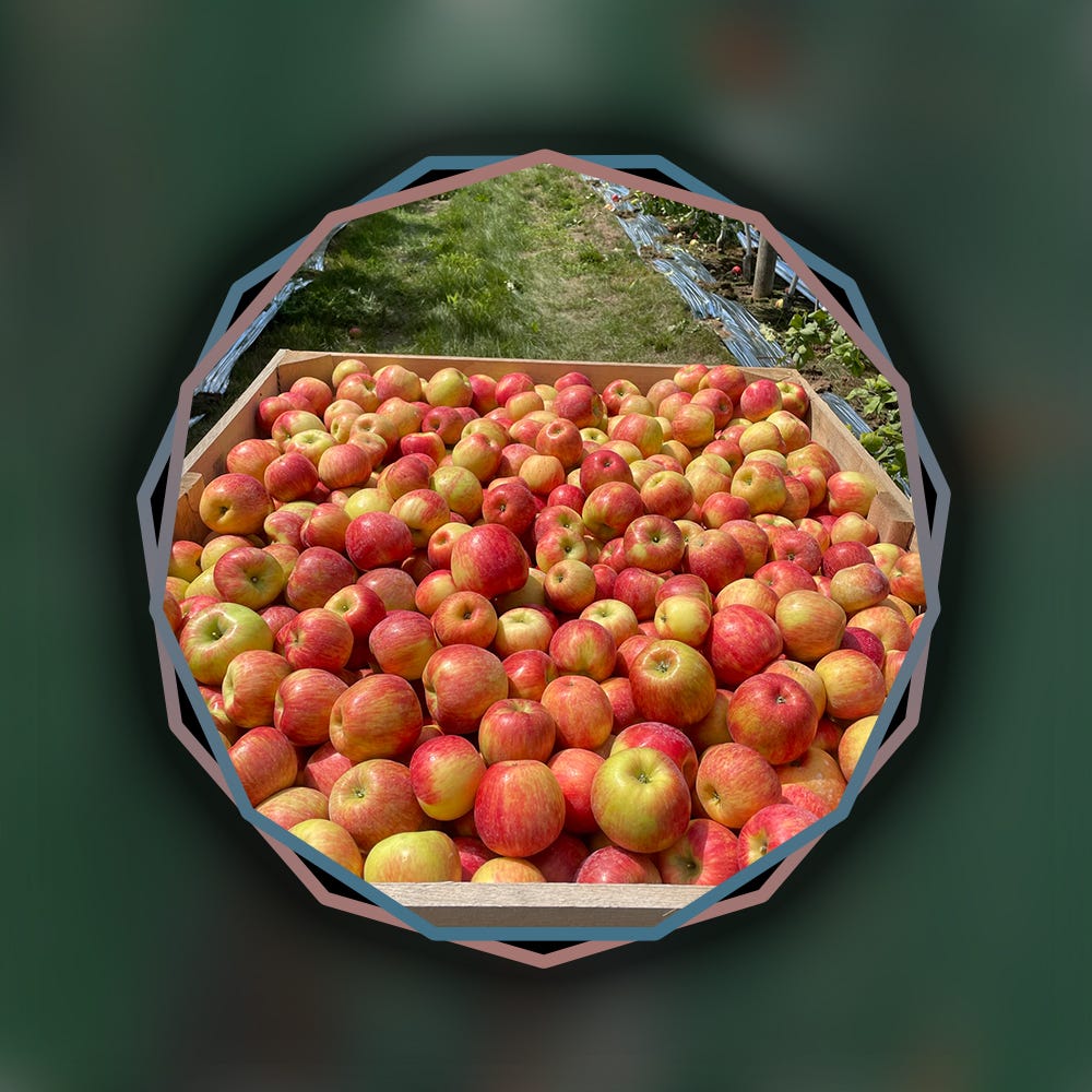 About – EDS Schoenborn Orchards – Medium