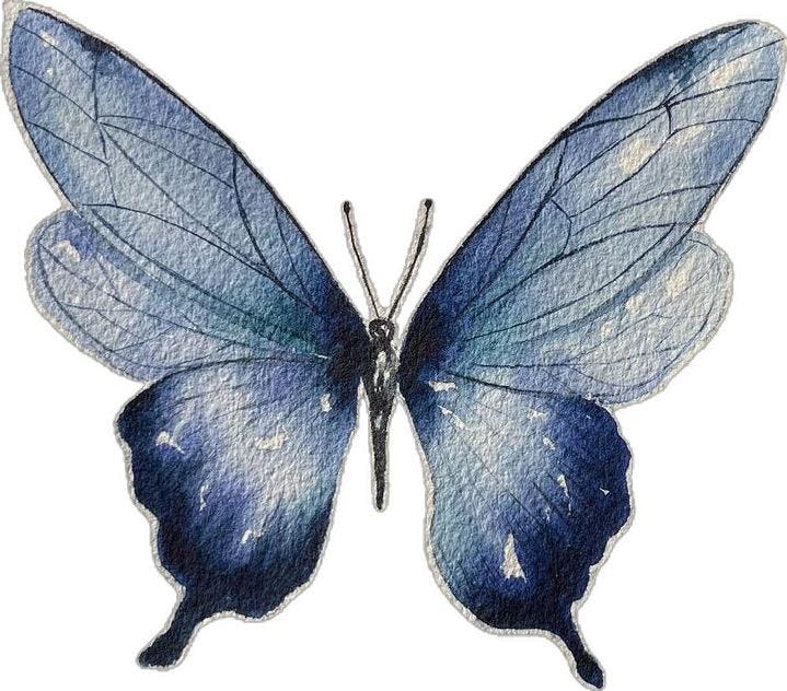 Ms. butterfly – Medium