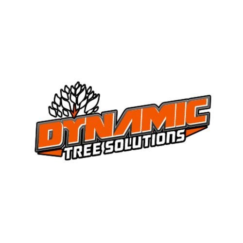 Dynamic Tree Solutions – Medium