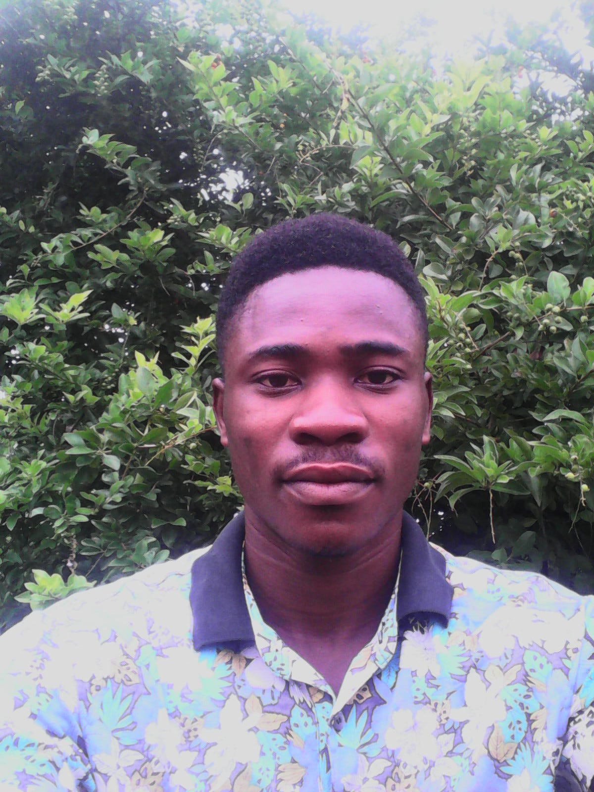 Adamzy Lee – Medium