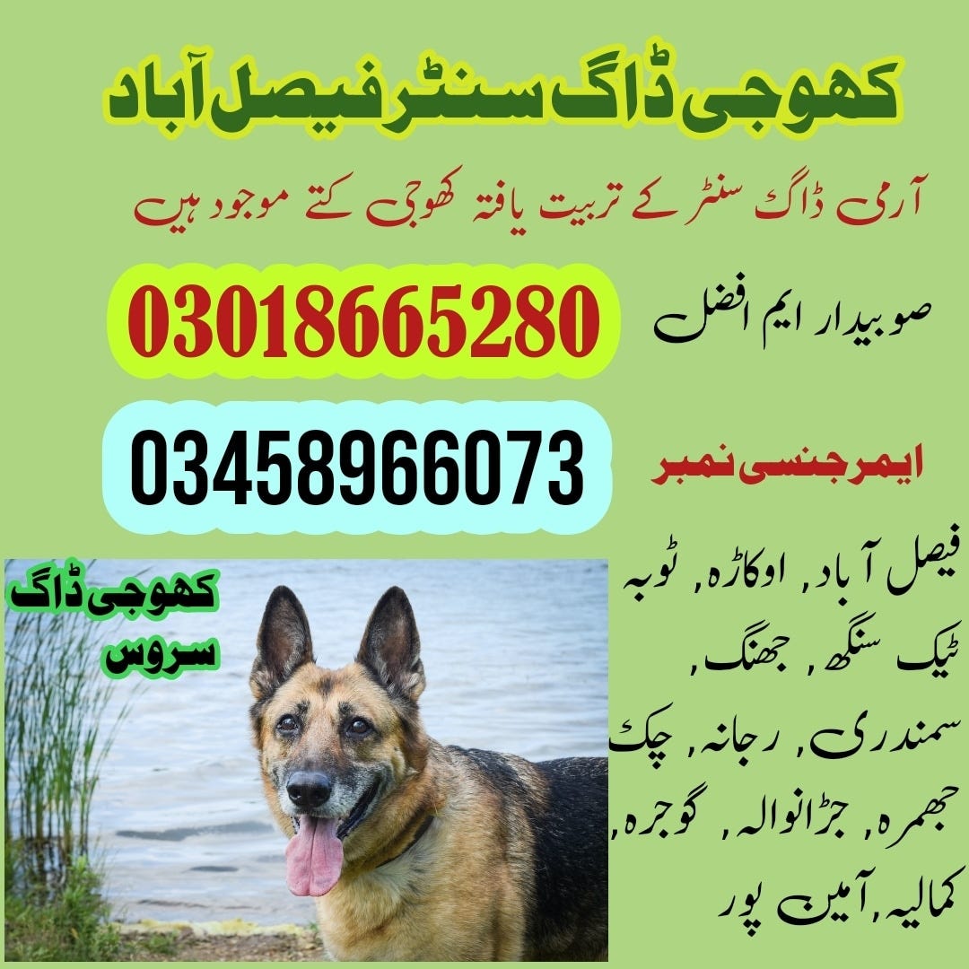 Army Dog Center Faisalabad – Medium