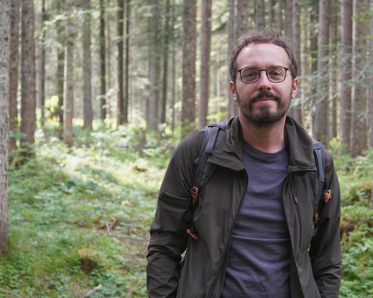 Francesco Zaia – Medium