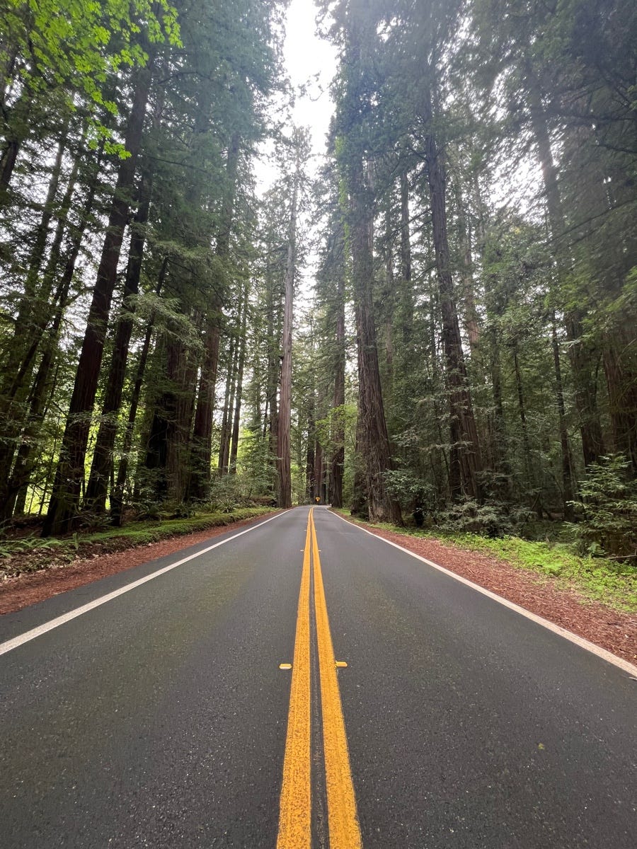 Dylan Fry on Medium curated some lists