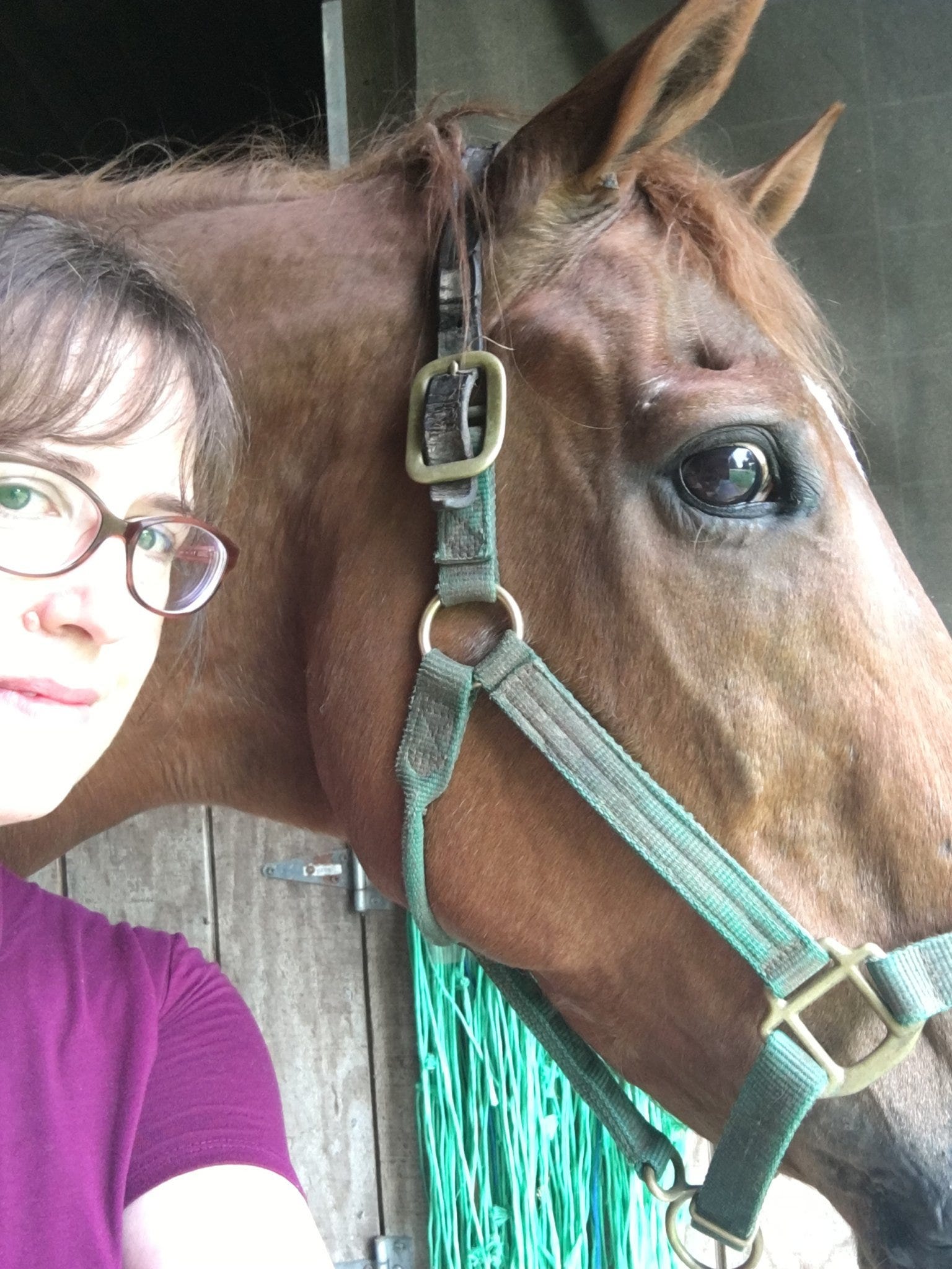 Elizabeth Stokes – Medium