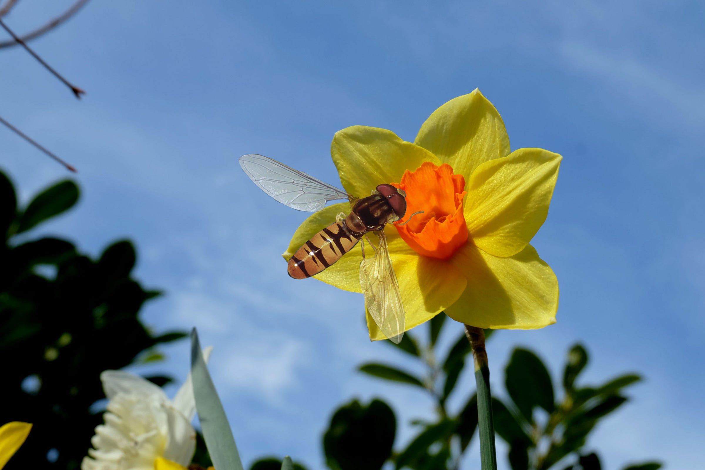 Karen Chui Photography – Medium