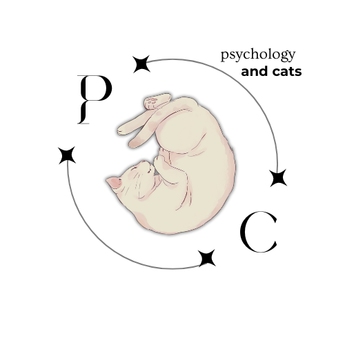 psychology and cats – Medium