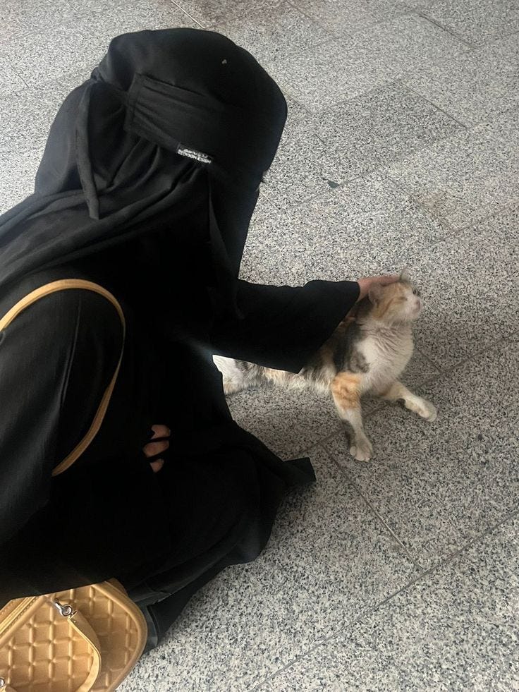 Anonymous Cat – Medium