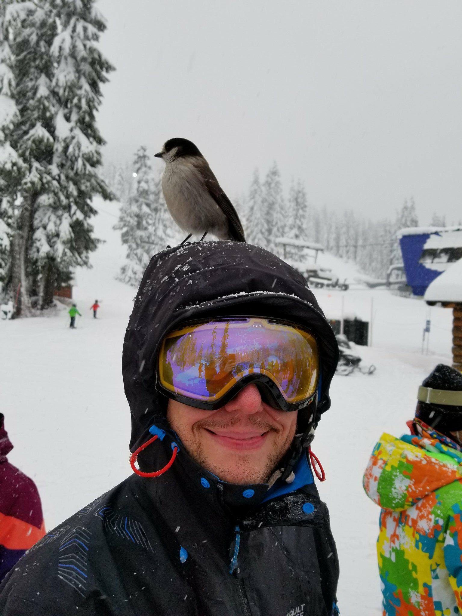 Charles Perrot-Minot – Medium