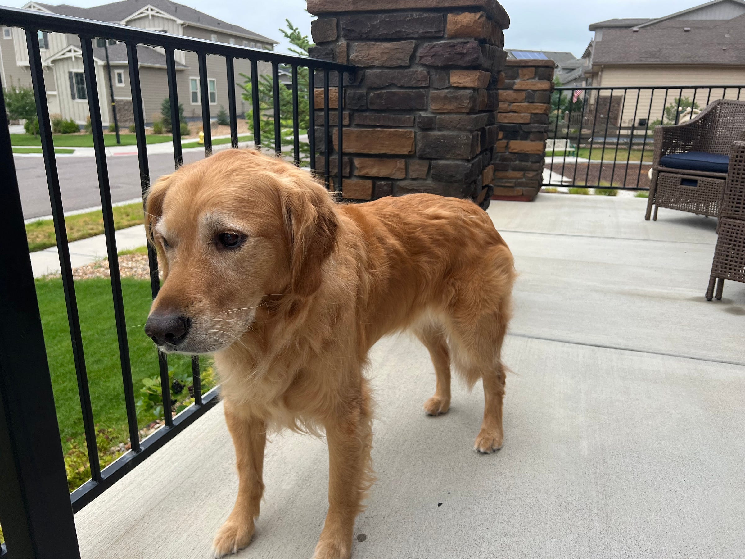 About – David LaPaglia – Medium