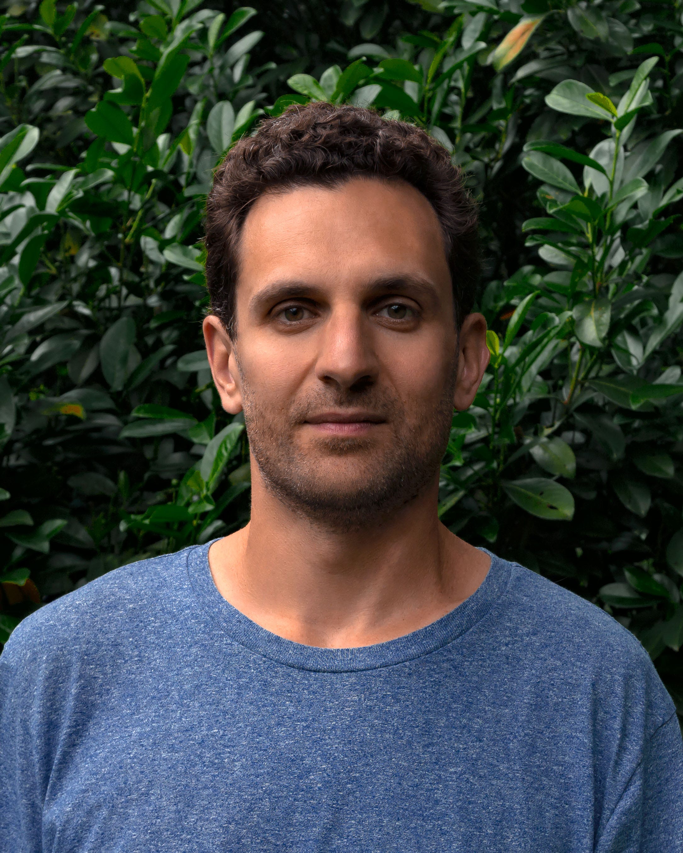 Andre Preoteasa – Medium