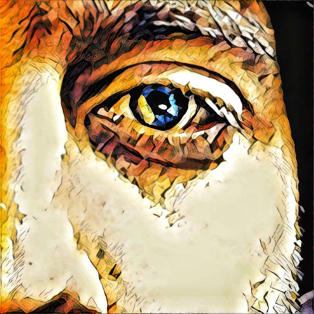 About – Josh Rollins – Medium