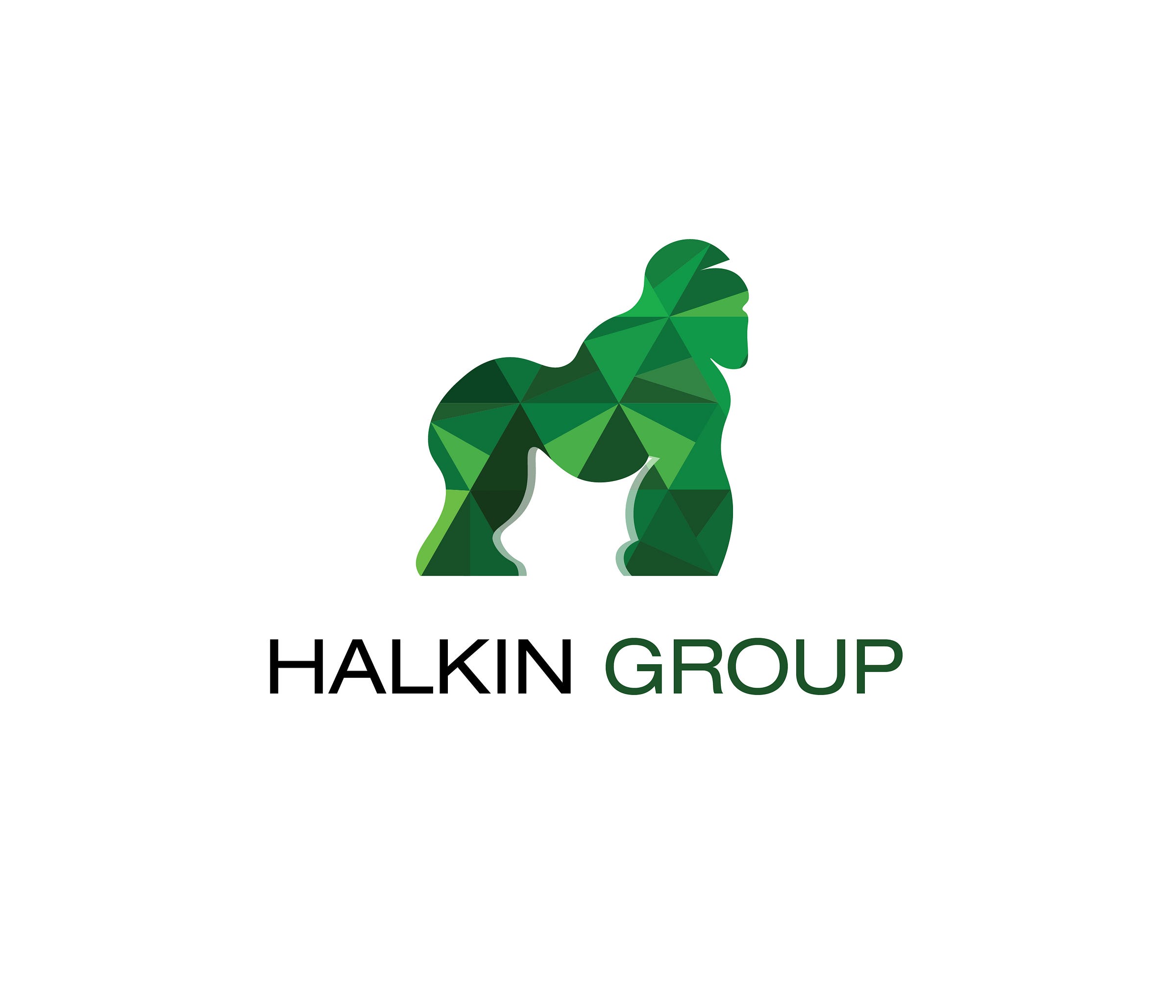 Halkin Group – Medium