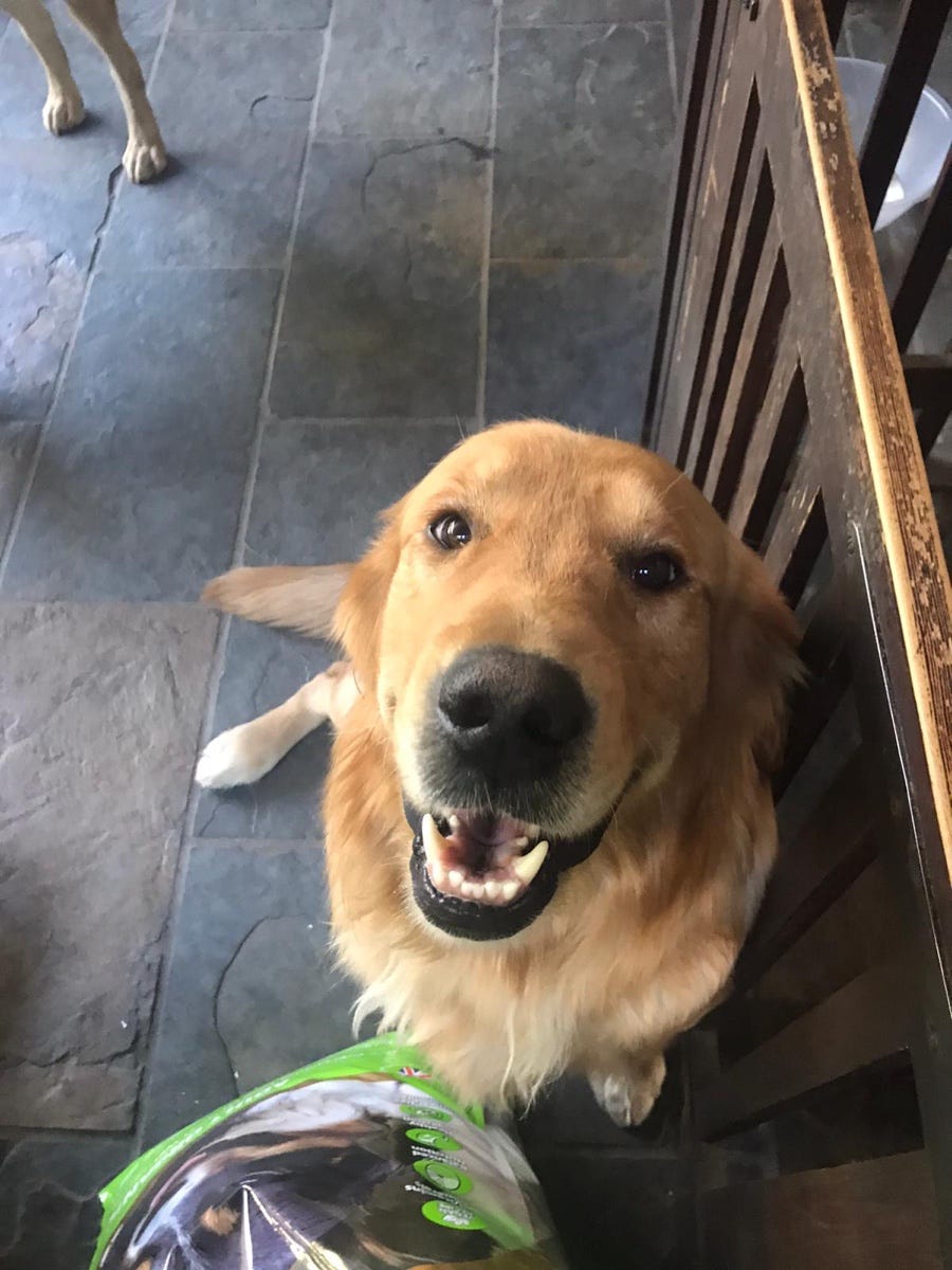 Keith Newby – Medium