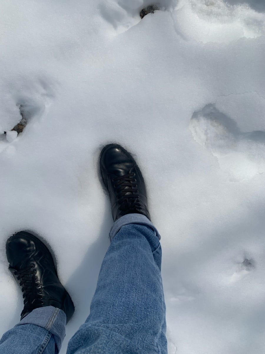 S.M.H.Amir – Medium