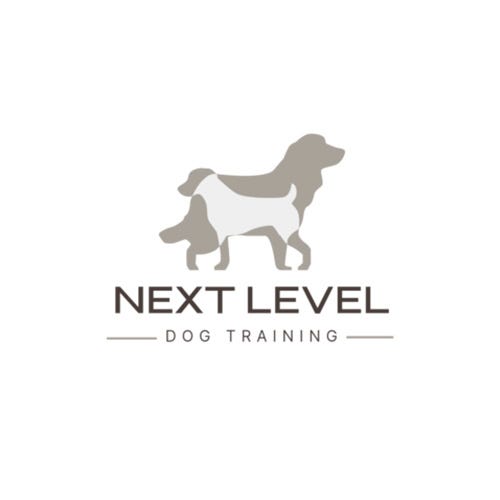 Next Level Dog Training UK – Medium