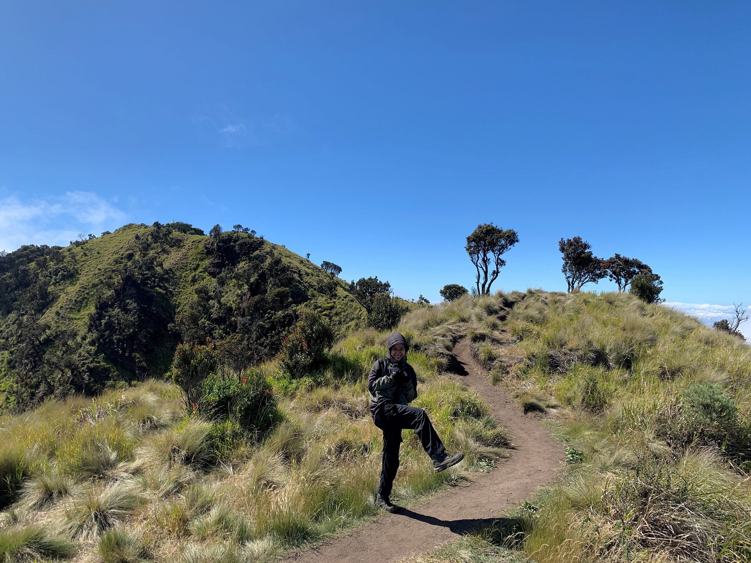 About – Sopi Maudi – Medium