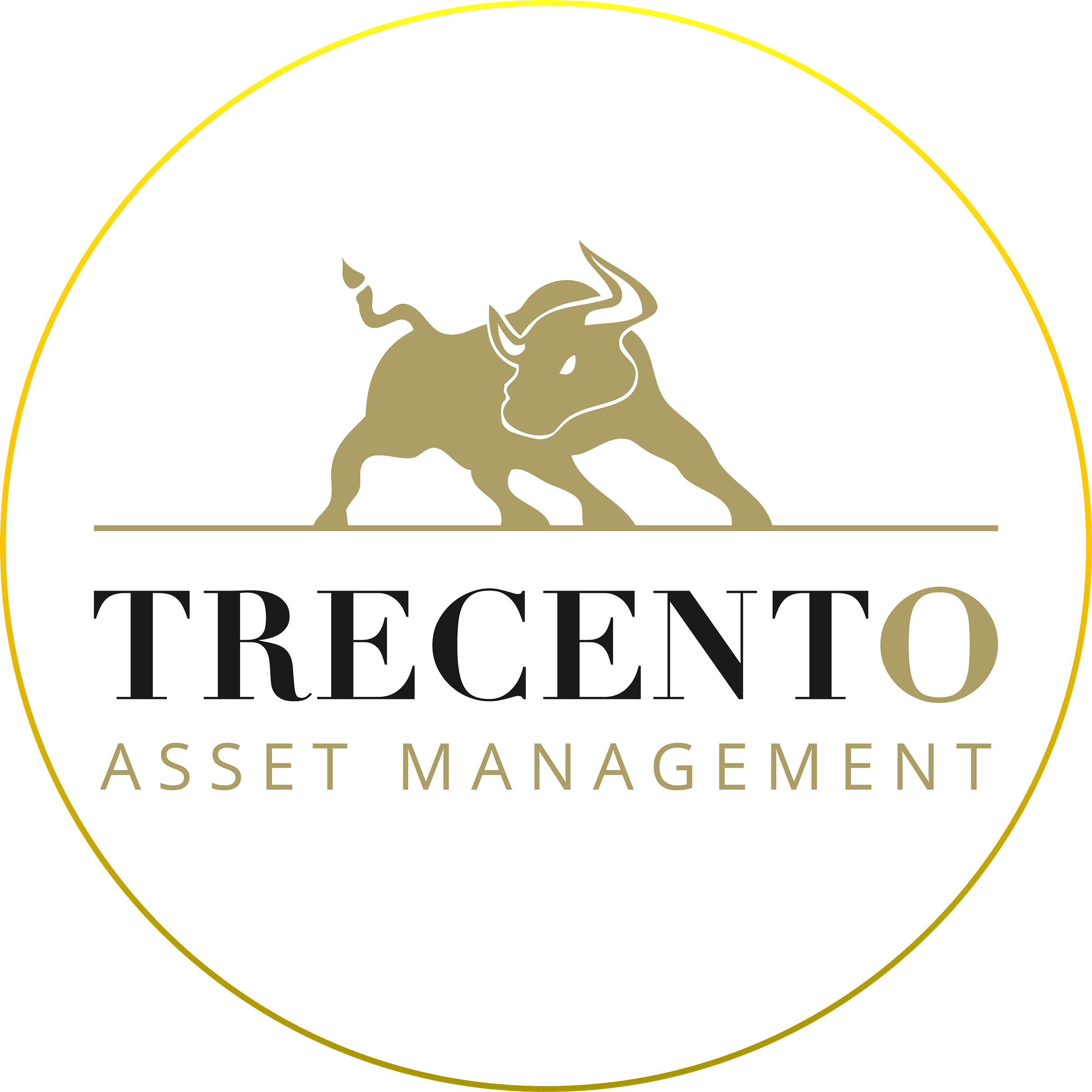 Trecento Asset Management – Medium