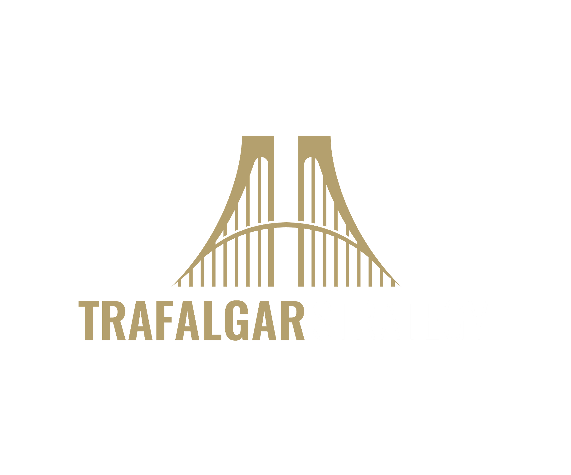 About – Trafalgar Strategy – Medium