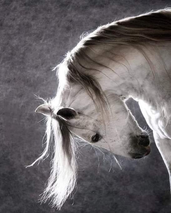 About – Alper Özdemir – Medium