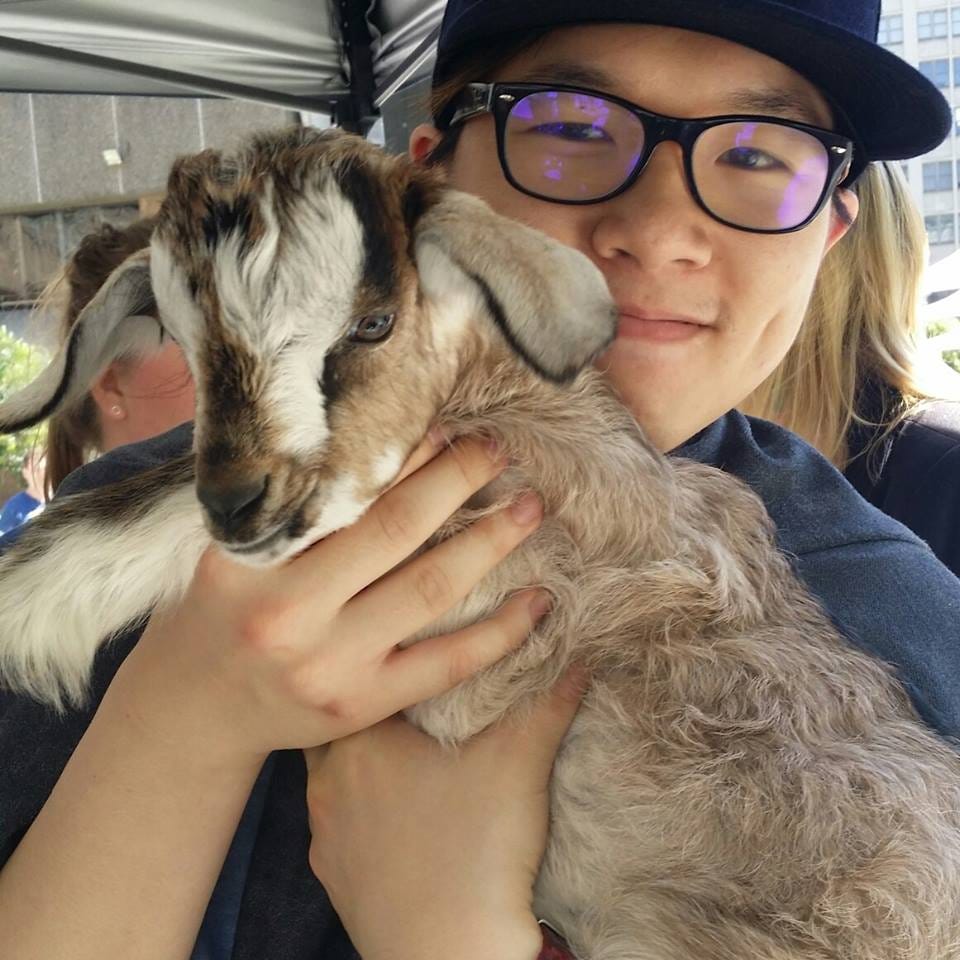 Elliot Fan – Medium