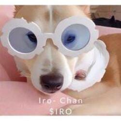 Iro-Chan – Medium