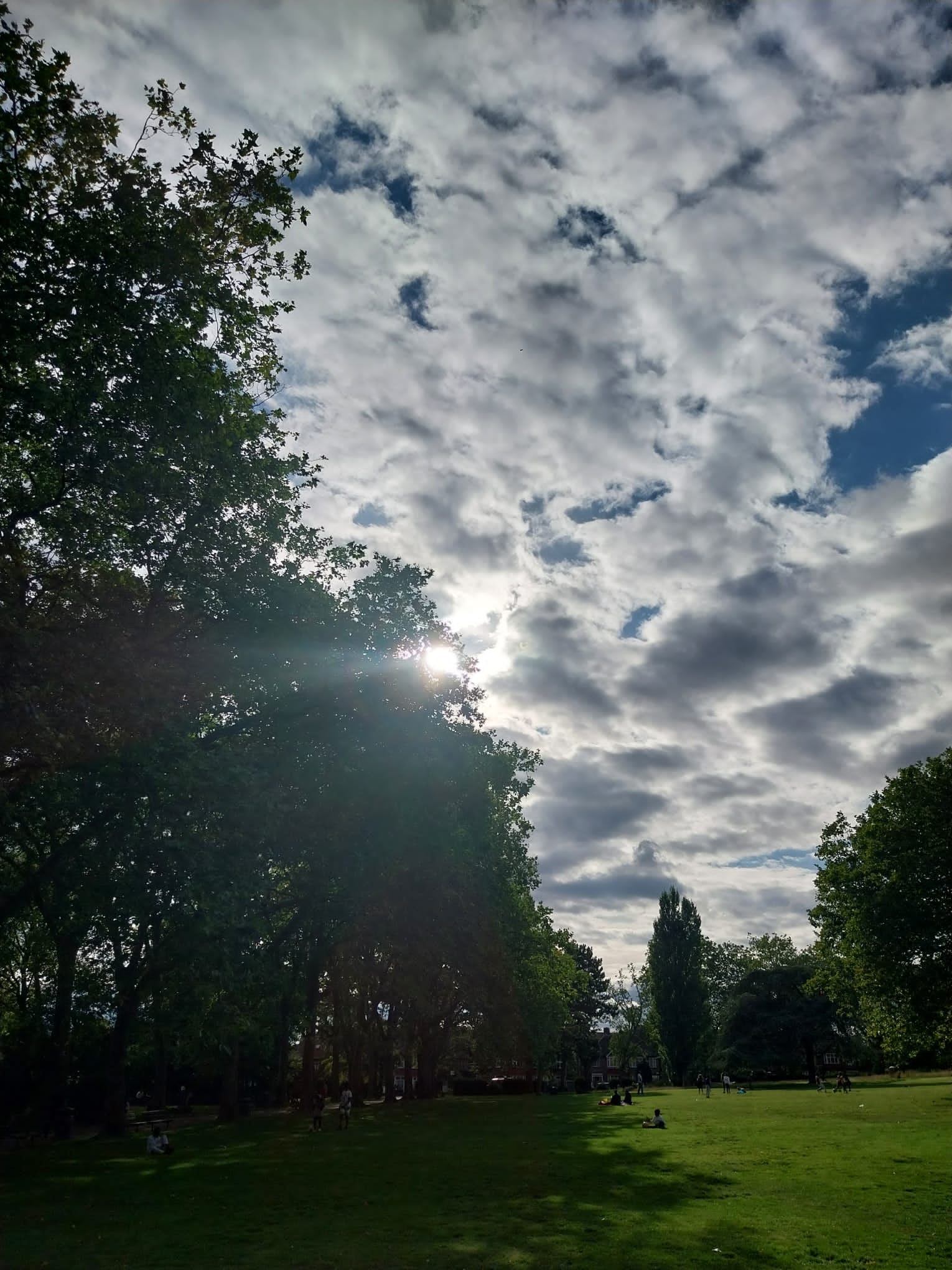 Ivy Luggya – Medium