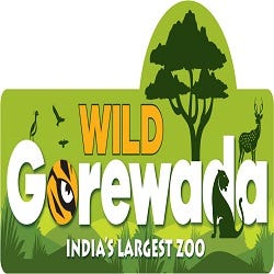Wild Gorewada – Medium
