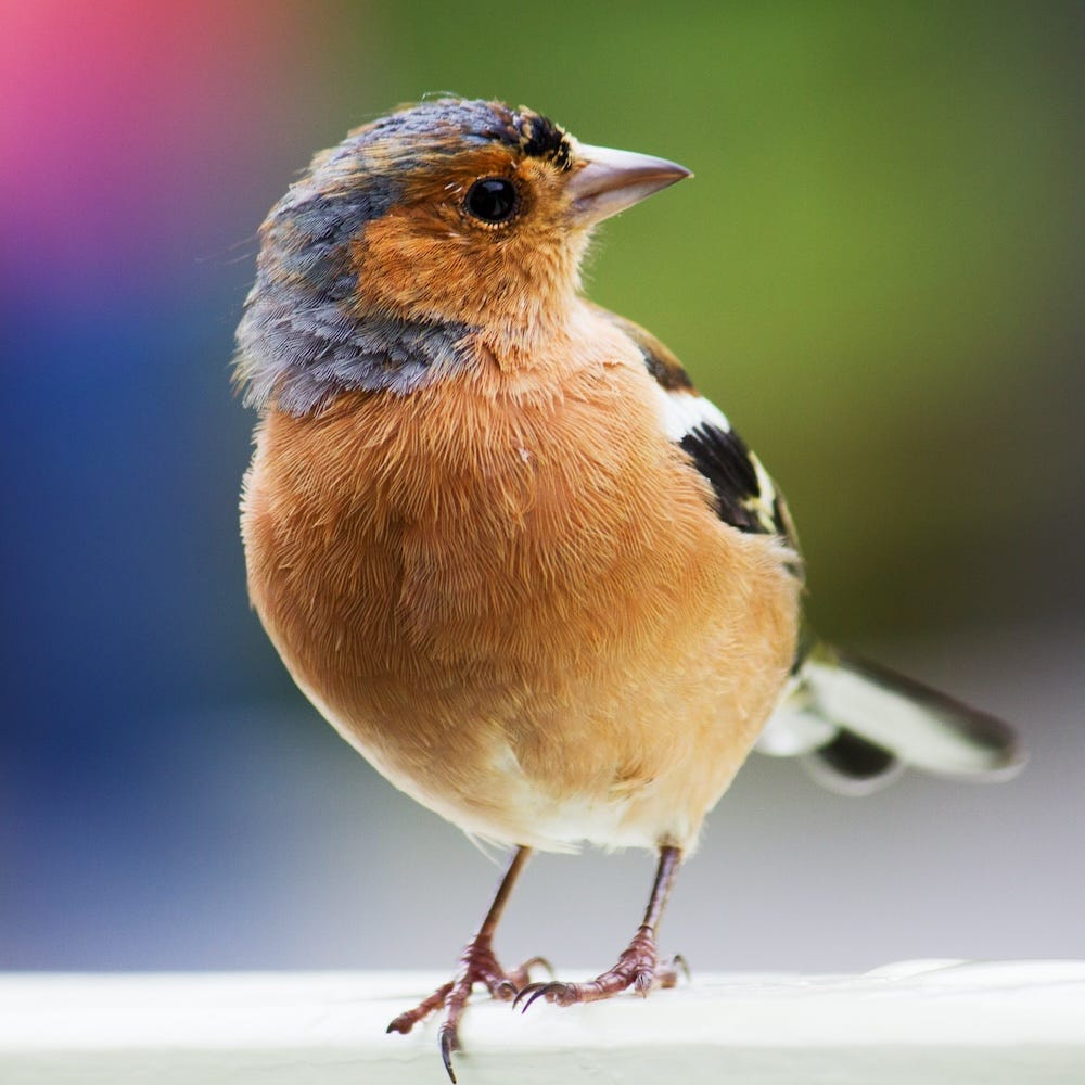 tail -f my tech life. – Medium