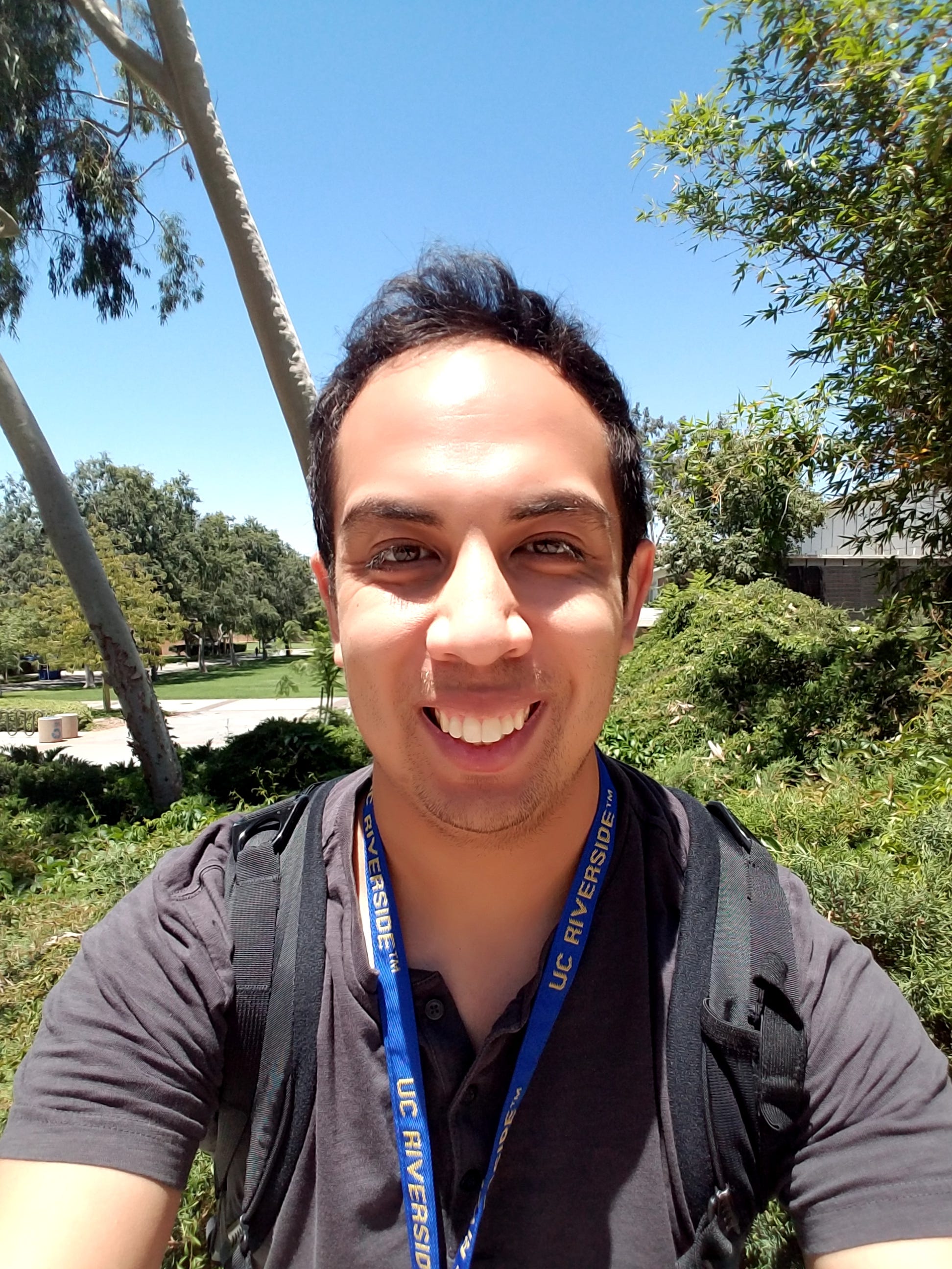 Carl Adams – Medium