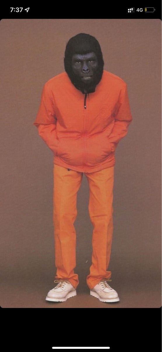 Tapash on Medium curated some lists