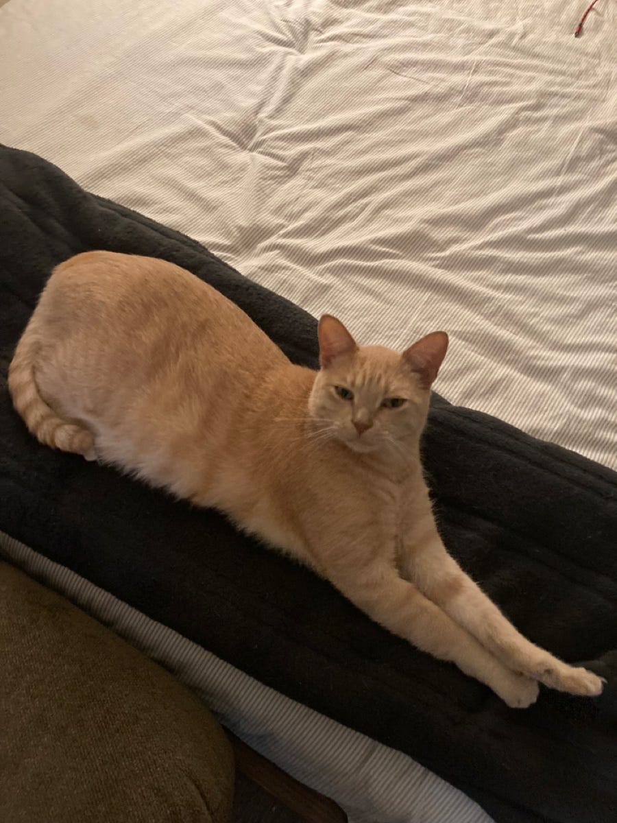 Harry Cain on Medium curated some lists