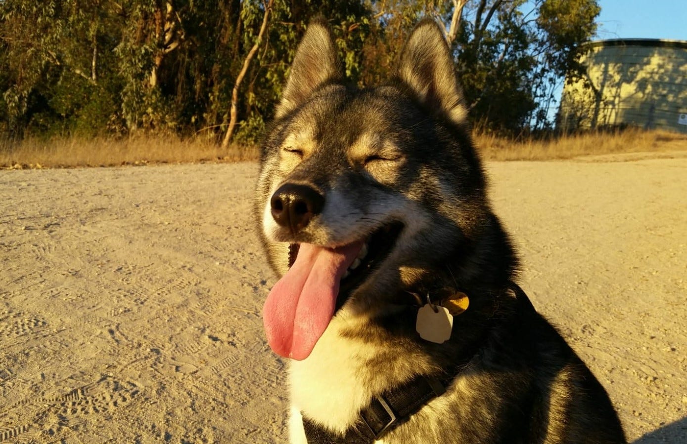 Mark Topacio – Medium