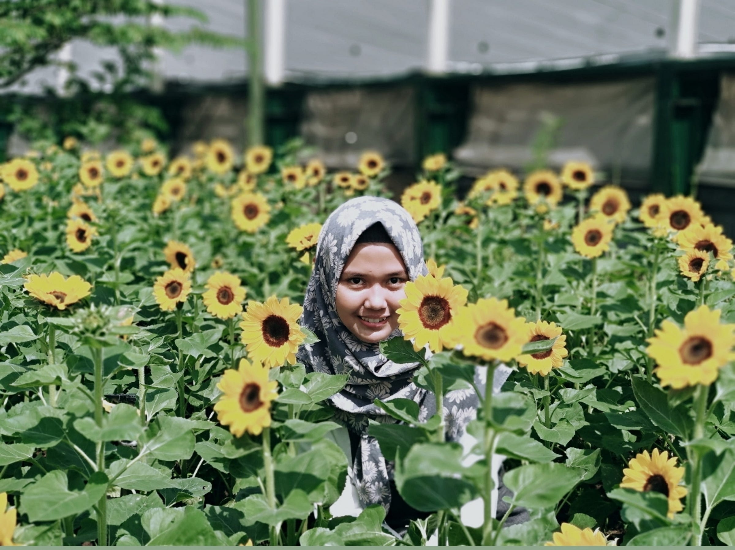 Danu Larasati – Medium