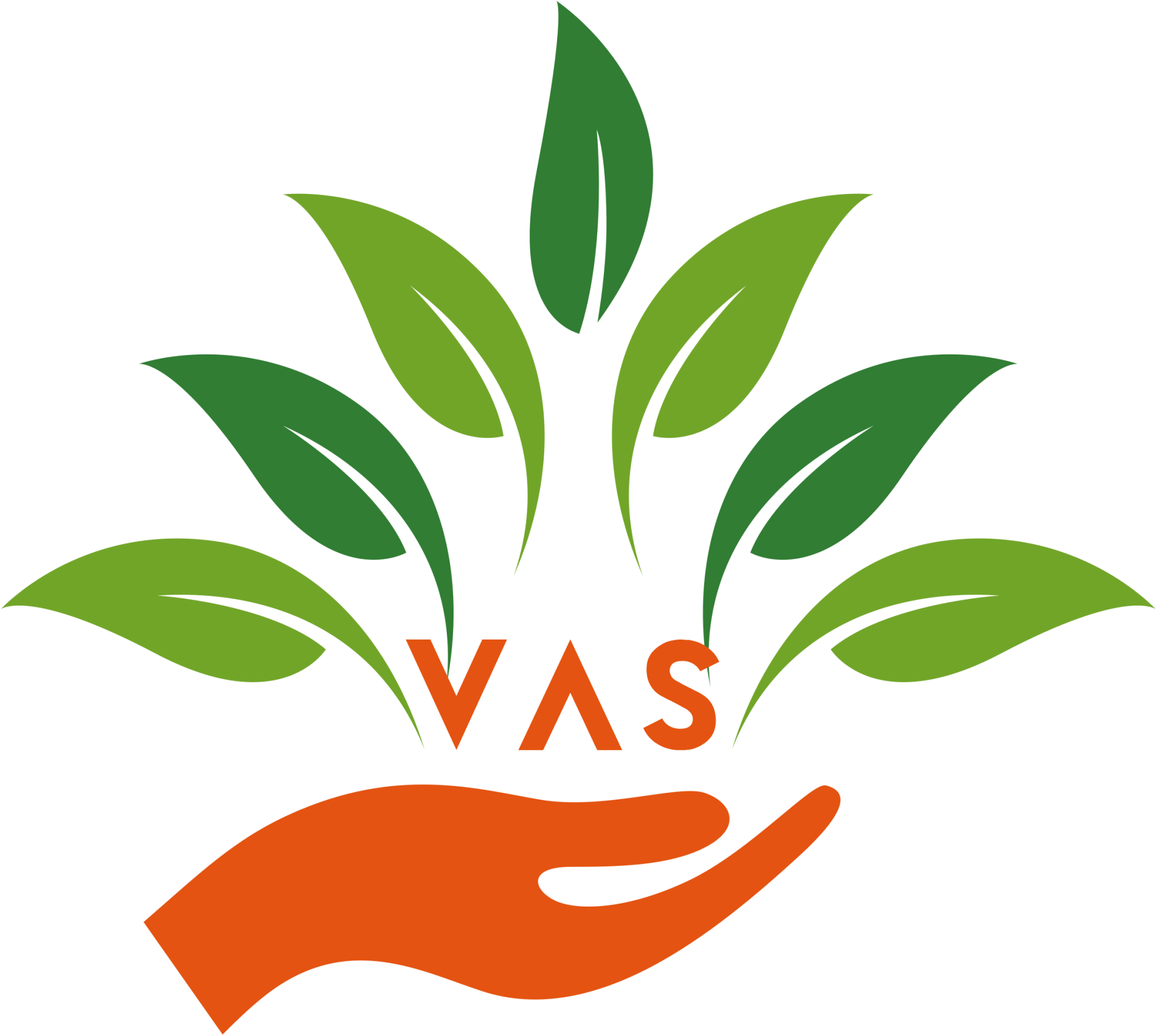VAS Services – Medium