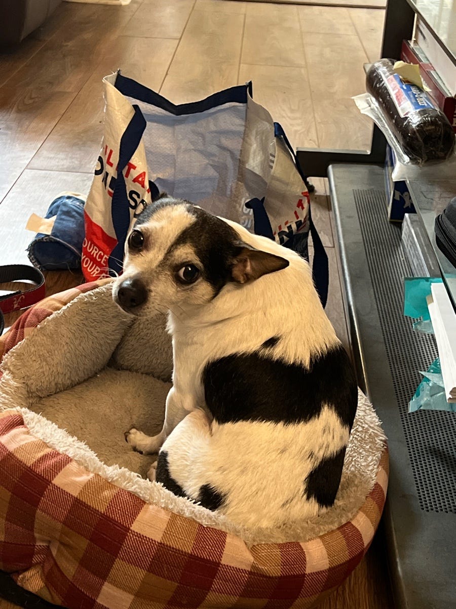 Drew Barrie – Medium