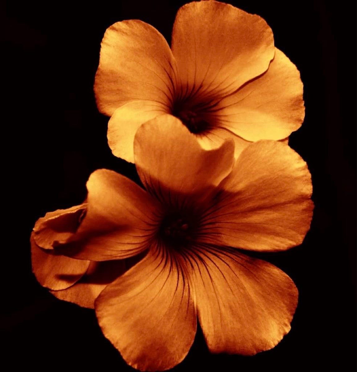 keira spencer – Medium