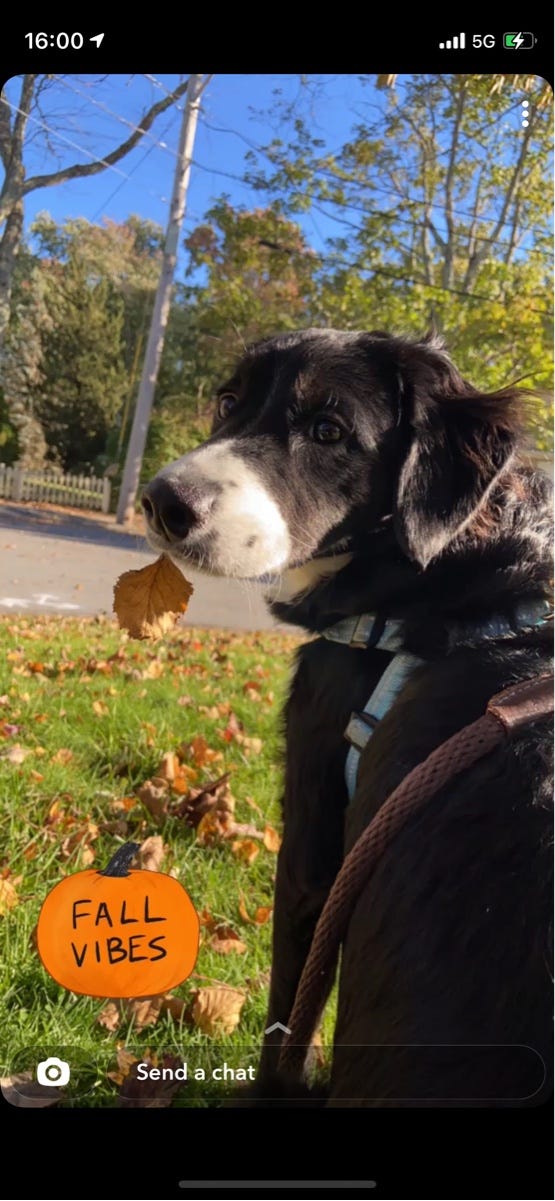 About – Joe Edwards – Medium