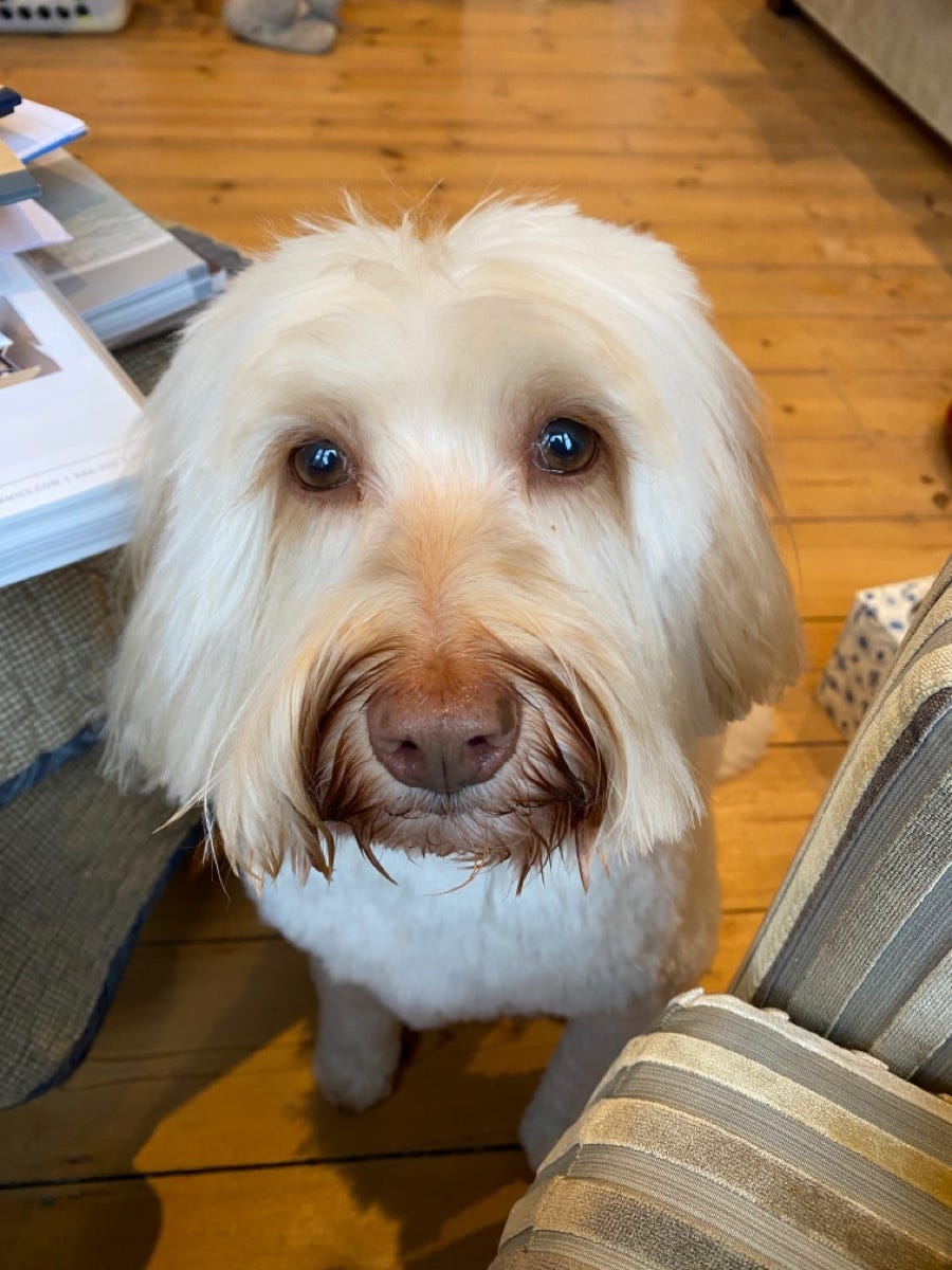 Richard Mond – Medium