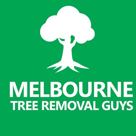 About – Melbourne Tree Removal Guys – Medium