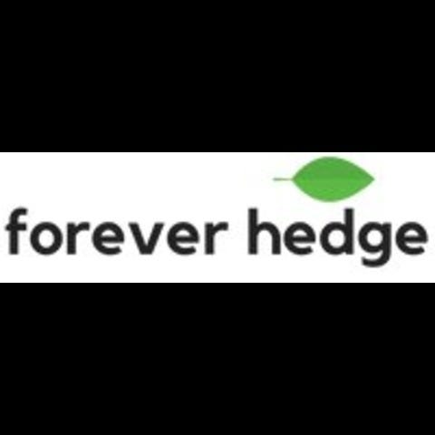 David Eden – Medium