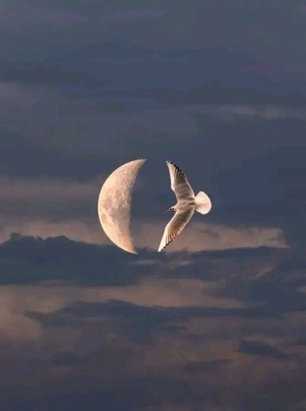 About – VIKU – Medium