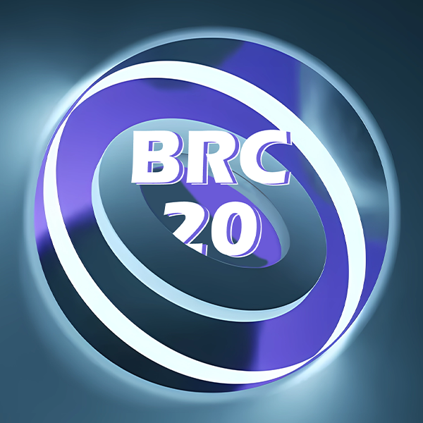 BRC20 – Medium